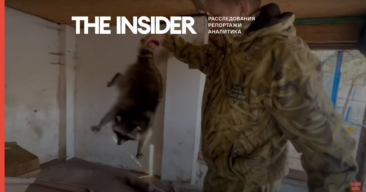 Video released of Russians stealing a raccoon, a llama, and a donkey ...